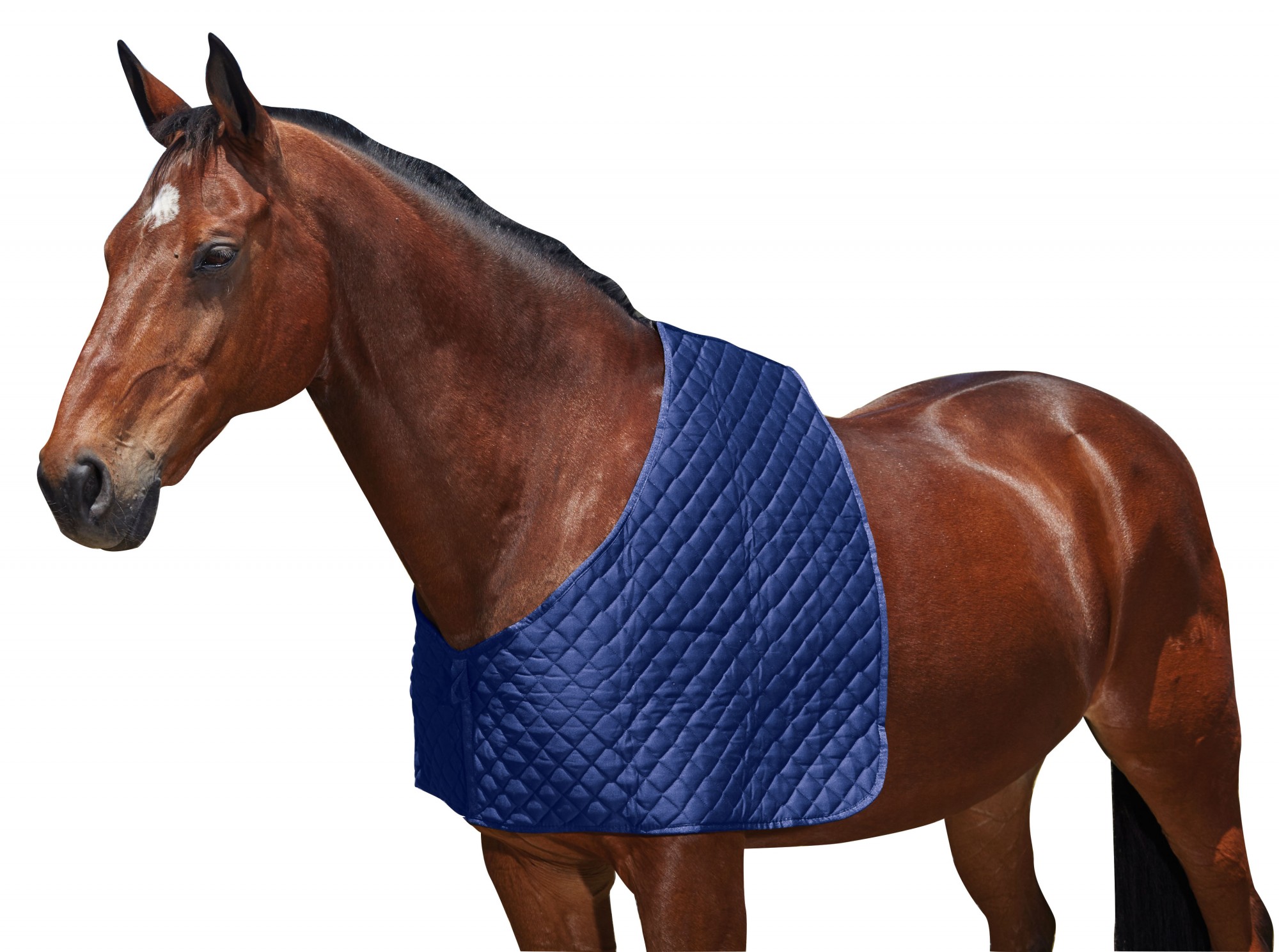Weatherbeeta Deluxe Shoulder Guard (Navy) - Cool Equestrian