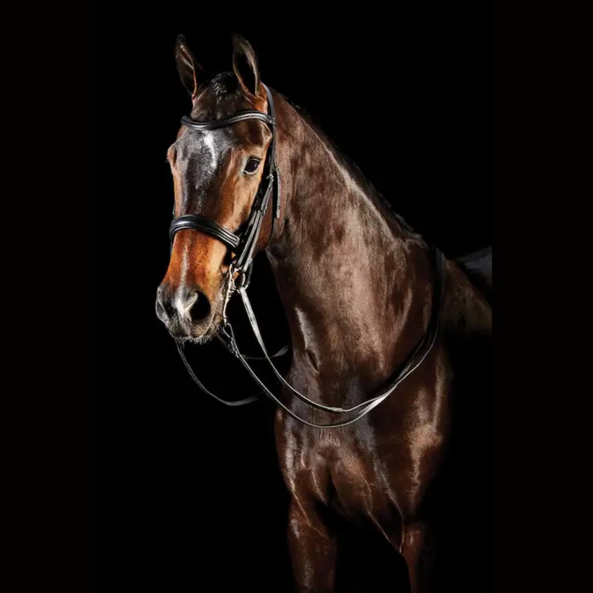 Collegiate Comfitec Weymouth Bridle (Black) - Cool Equestrian