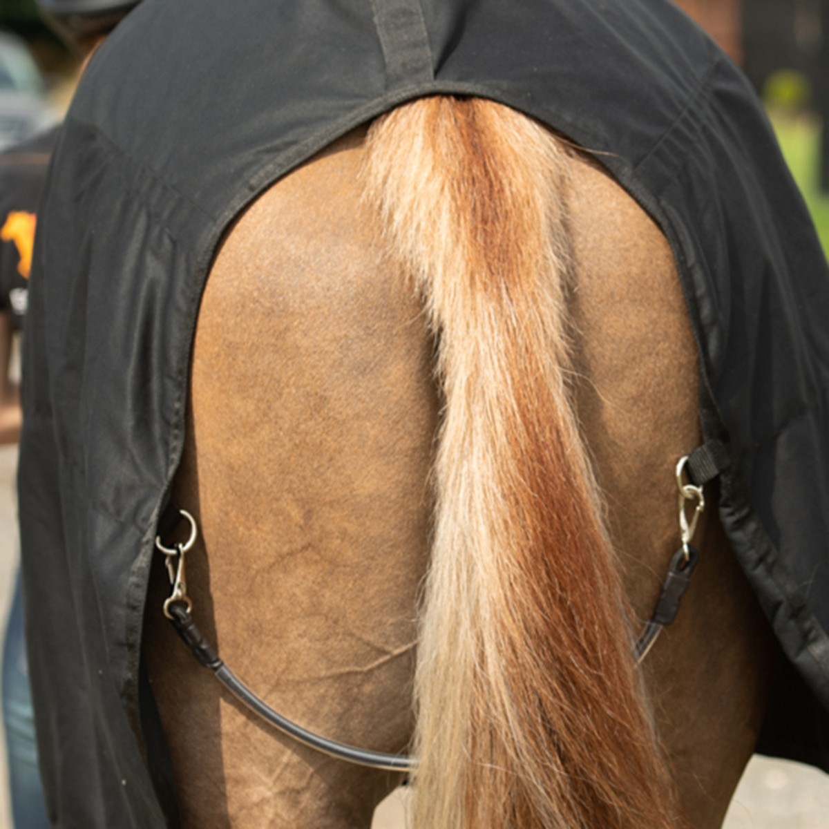 Equilibrium Magnetic Rug (Black) - Cool Equestrian