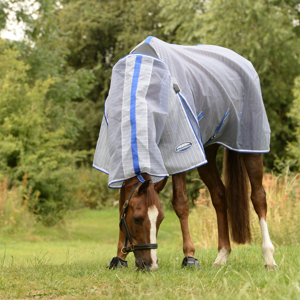 Weatherbeeta Comfitec Ripshield Plus Fly Rug With Ultra Belly Wrap ...