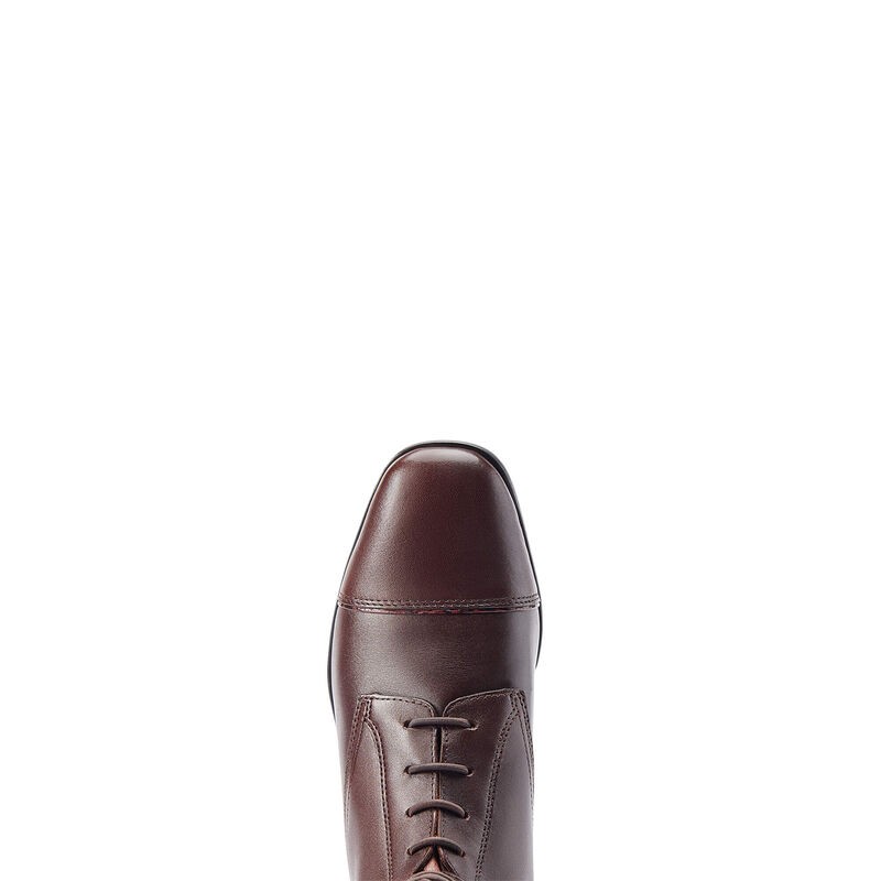 Ariat Womens Palisade Ellipse Tall Riding Boot (Mahogany/ Rust Cobra ...