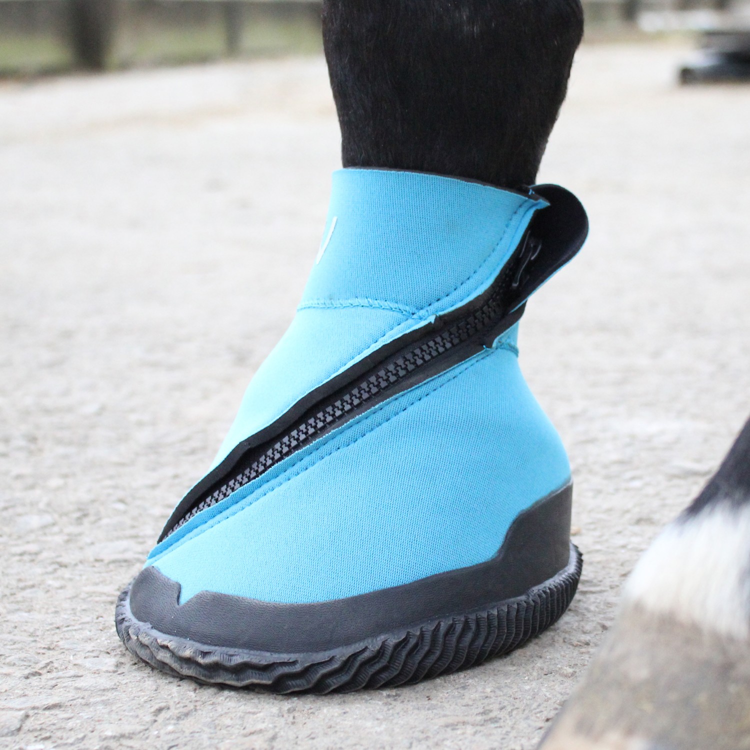 Woof Wear Medical Hoof Boot - Cool Equestrian