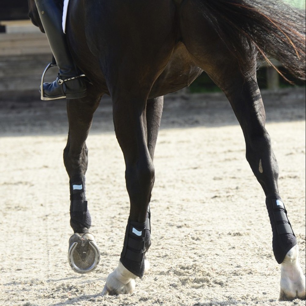 Equilibrium Stretch & Flex Flatwork Wraps (Navy) - Cool Equestrian