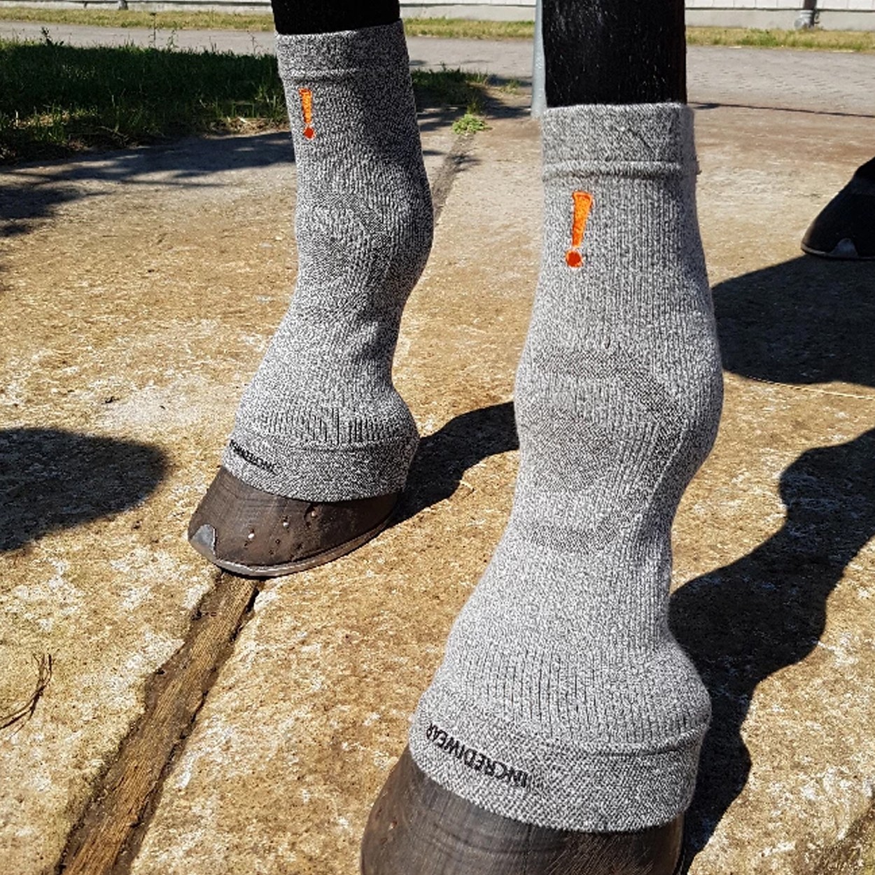 Incrediwear Equine Circulation Hoof Socks - Cool Equestrian